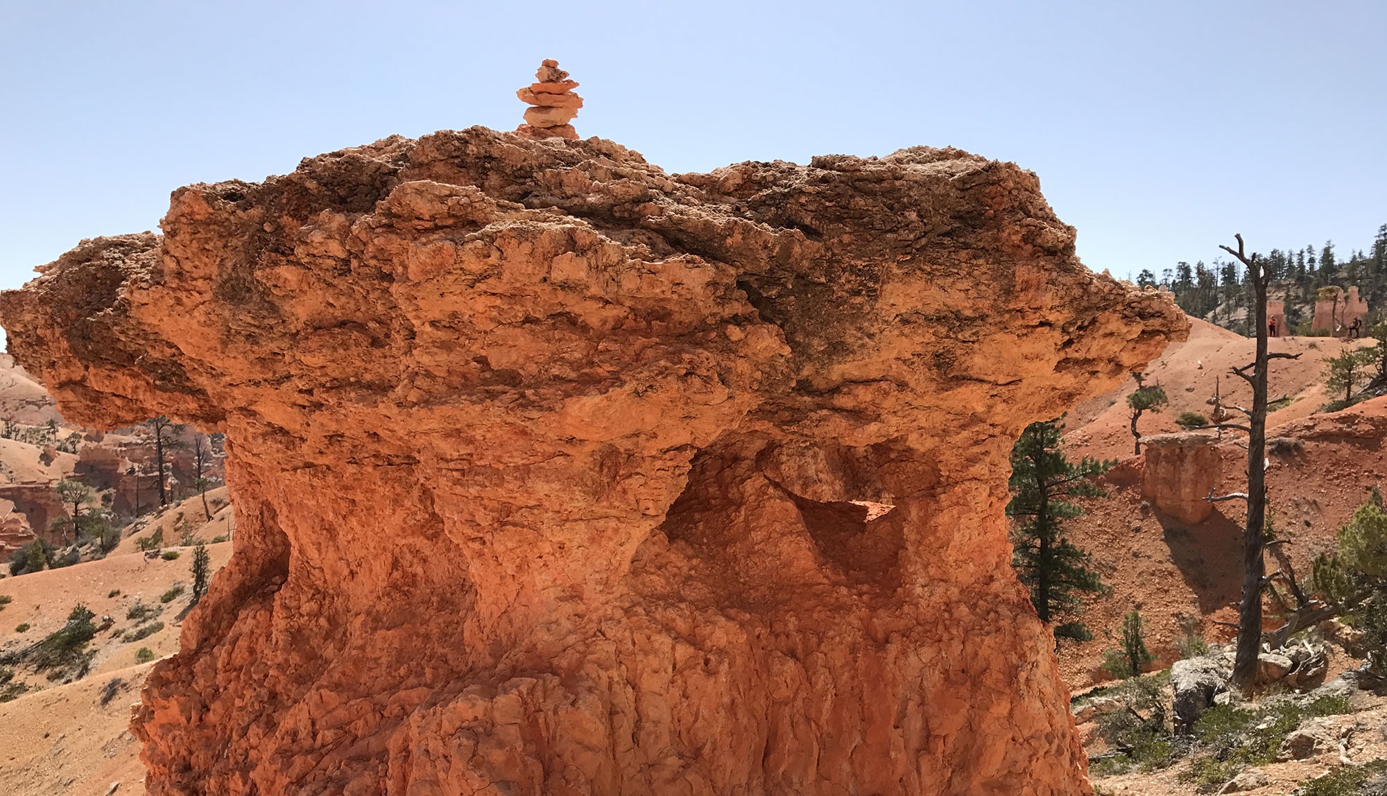 About Klarius - Klarius LLC